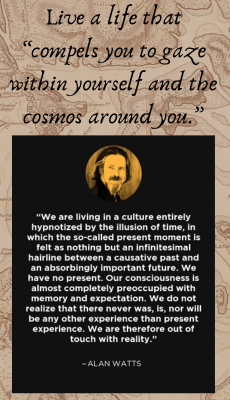 Alan Watts And His Visionary Ideas: Exploring Wisdom